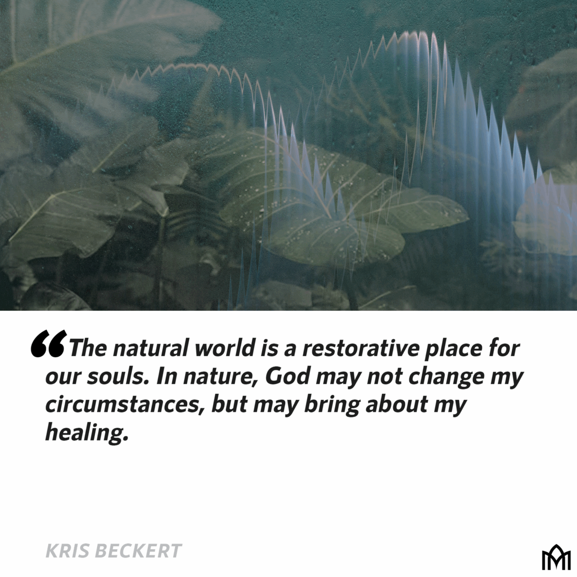 God Finds Us In Nature: An Environment of Healing - Missio Alliance